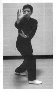 The Stance For Combat | Qiang Shan Ba Gua Zhang