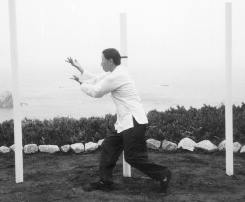Qi Gong Methodology of Lu Shui-Tian and the Role of Kou Bu Bai Bu Qi ...
